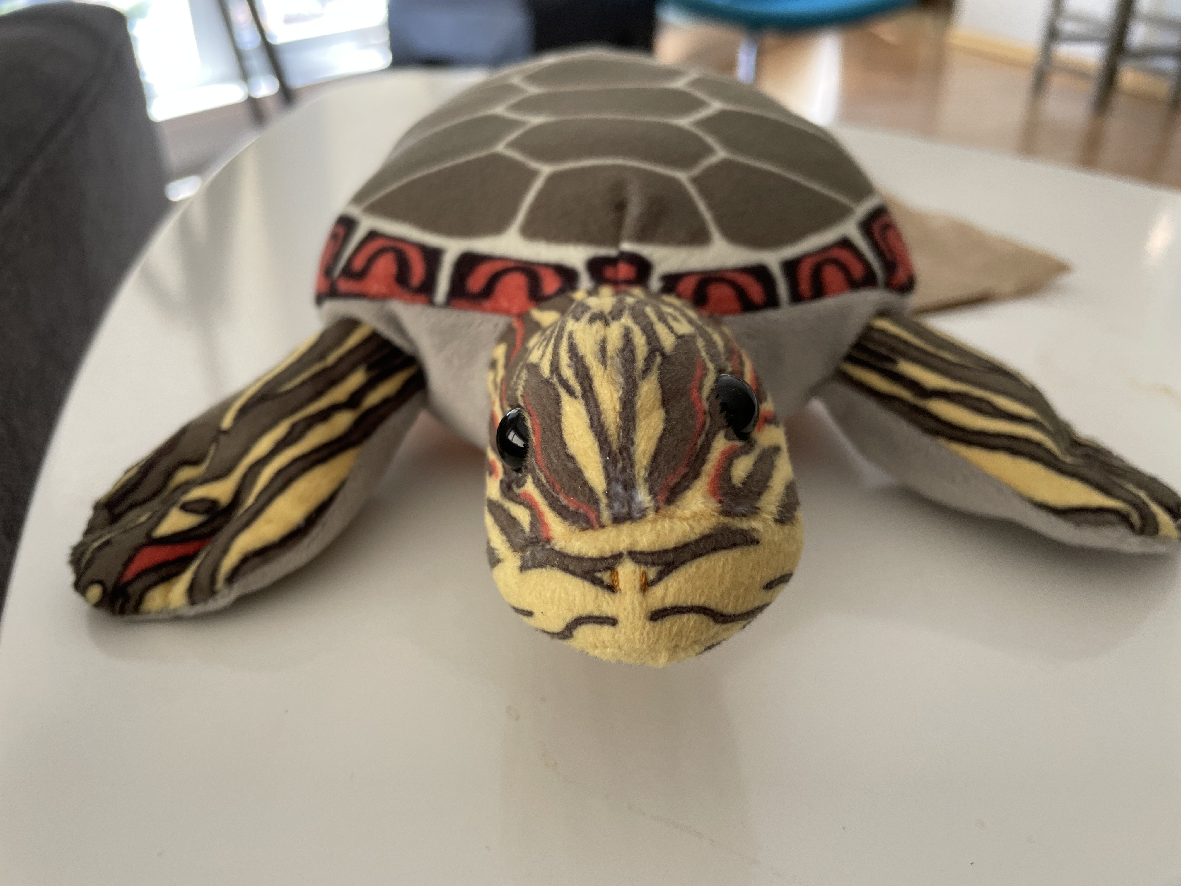 Tony the Turtle – theprosaiczoomer